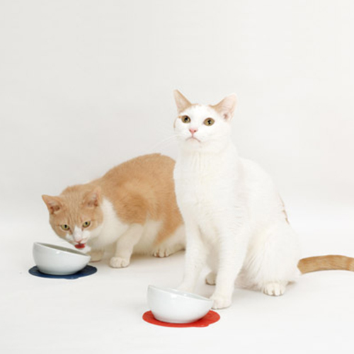 HARIO にゃんプレ ショートヘア レッド(リニューアル予定) - wancom