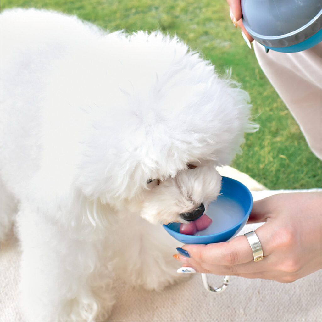 wancom tasty! 天使のヤギミルク 80g | wancom