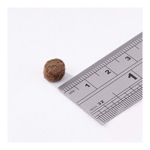 グッドスマイル F4 ファイネスト サーモン シニア 1.5kg | wancom