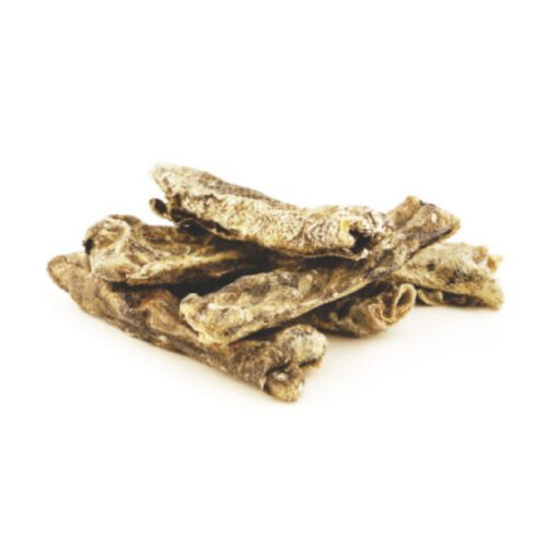 グッドスマイル F4 シージャーキー スキニー 500g | wancom