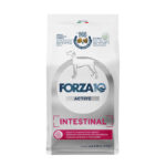 Forza10 ミディアム インテスティナル アクティブ 4kg | wancom